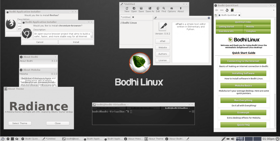 What is Bodhi Linux - Bodhi Linux